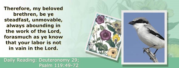 Friday, June 24, 2022 – Comfort of the Scriptures