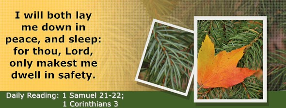 Daily Light (Evening Edition) – From Bible Truth Publishers