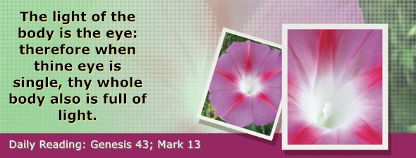 Daily Light (Morning Edition) – From Bible Truth Publishers