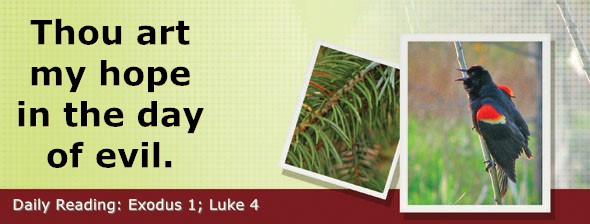 Daily Light (Morning Edition) – From Bible Truth Publishers